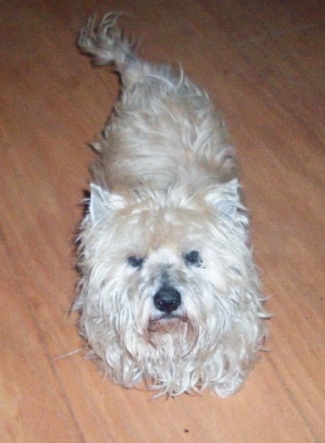 my life and times | Marideth Sisco