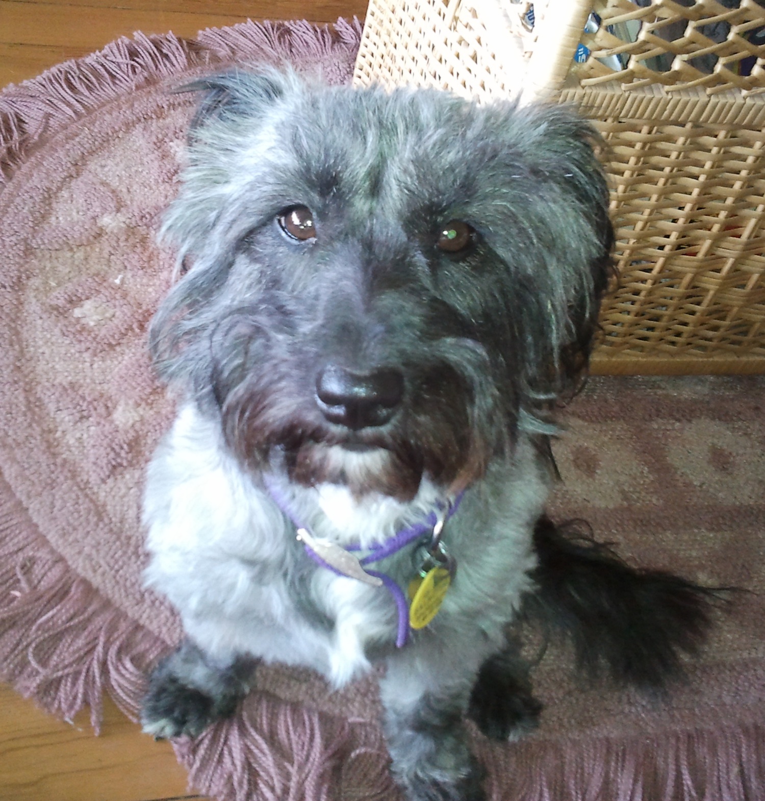 my life and times | Marideth Sisco